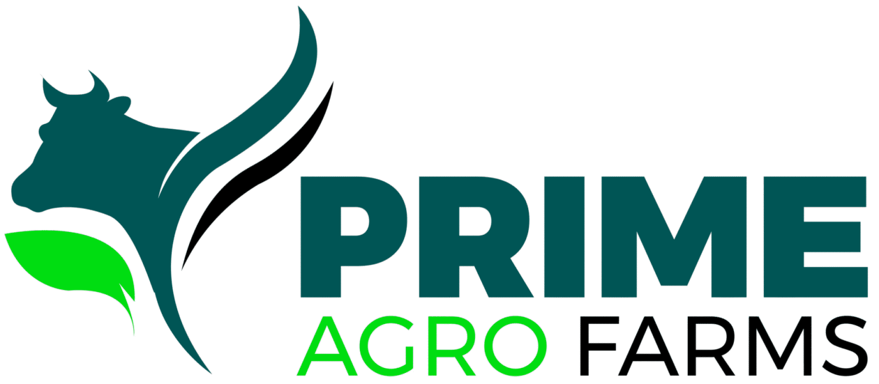 Agro Tourism – Prime Agro Farms